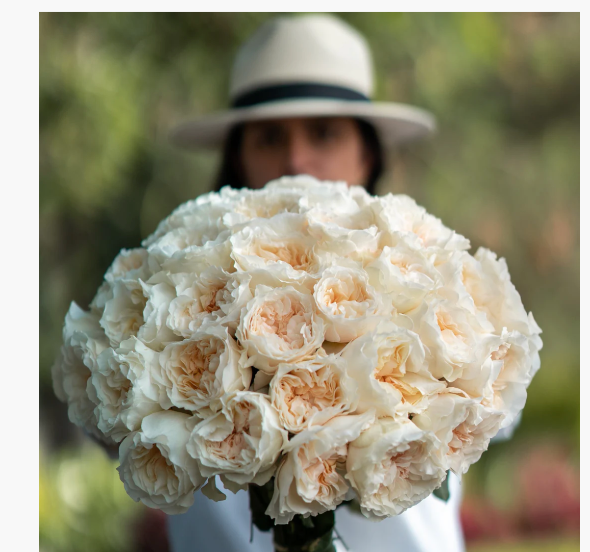 10 Gorgeous Ways to Use Roses in Your Fall Decor – Rose Farmers