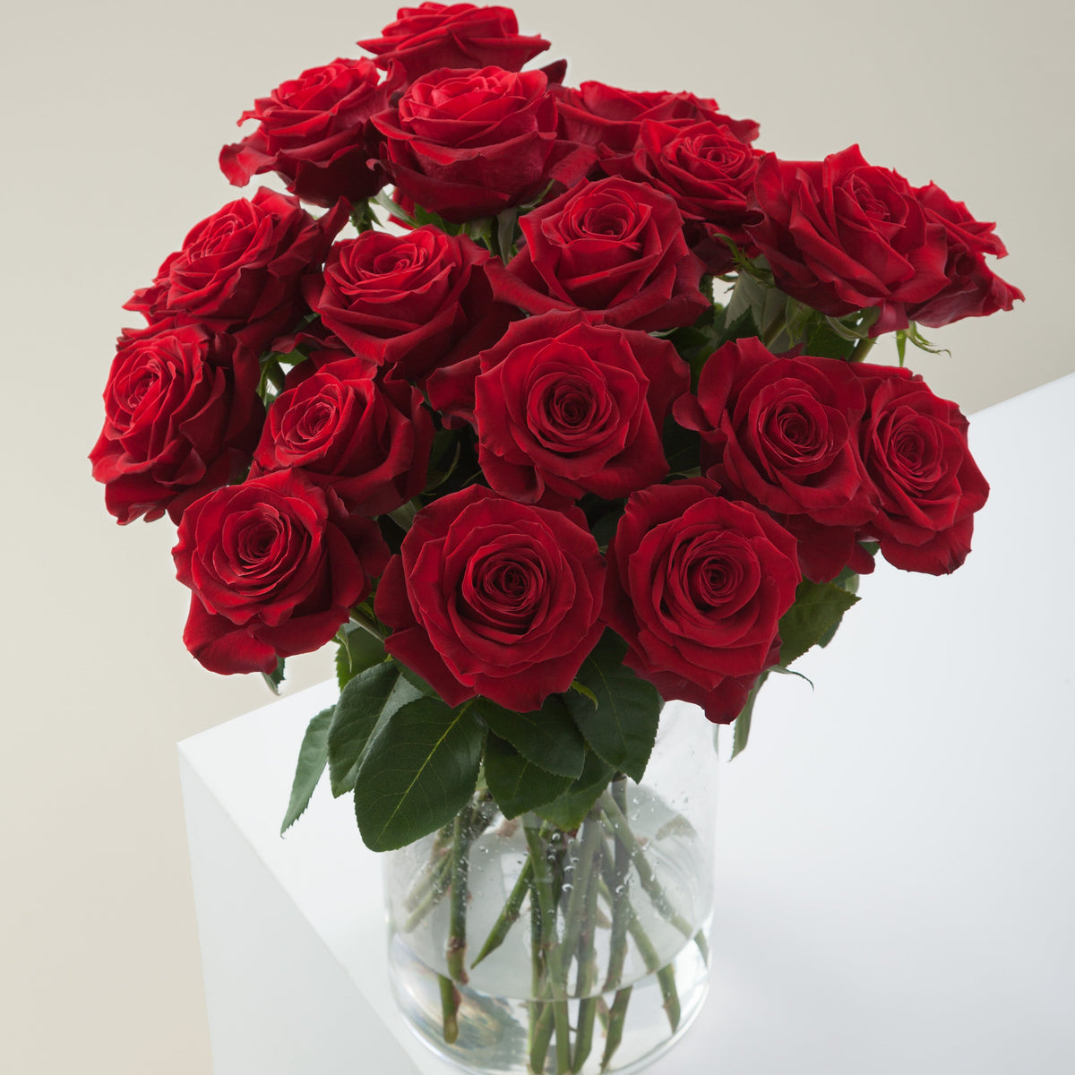 Buy Red Romantic Roses – Rose Farmers