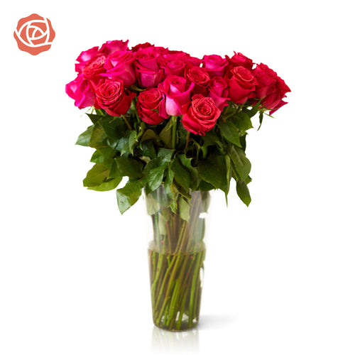 Roses Subscription – Rose Farmers