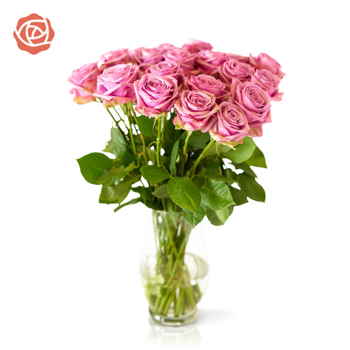 Roses Subscription – Rose Farmers