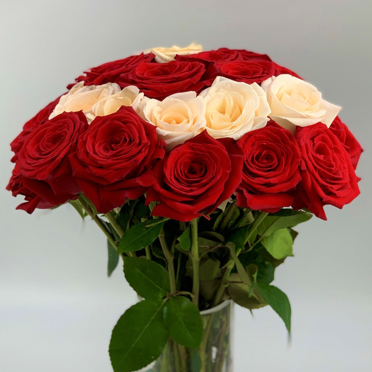 24 Red & Cream Luxury Long Stem Roses – Rose Farmers